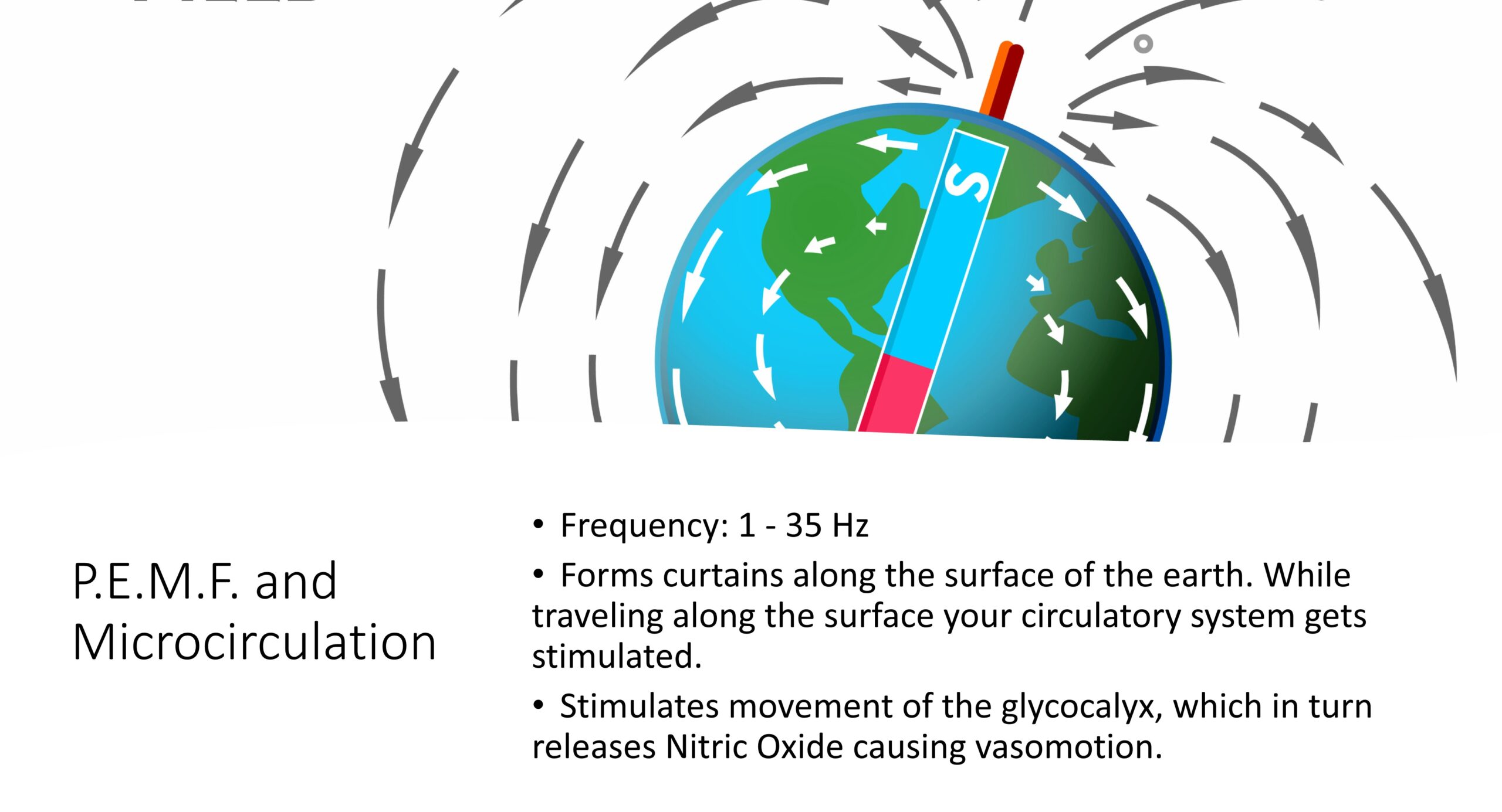 PEMF Science and Published Studies